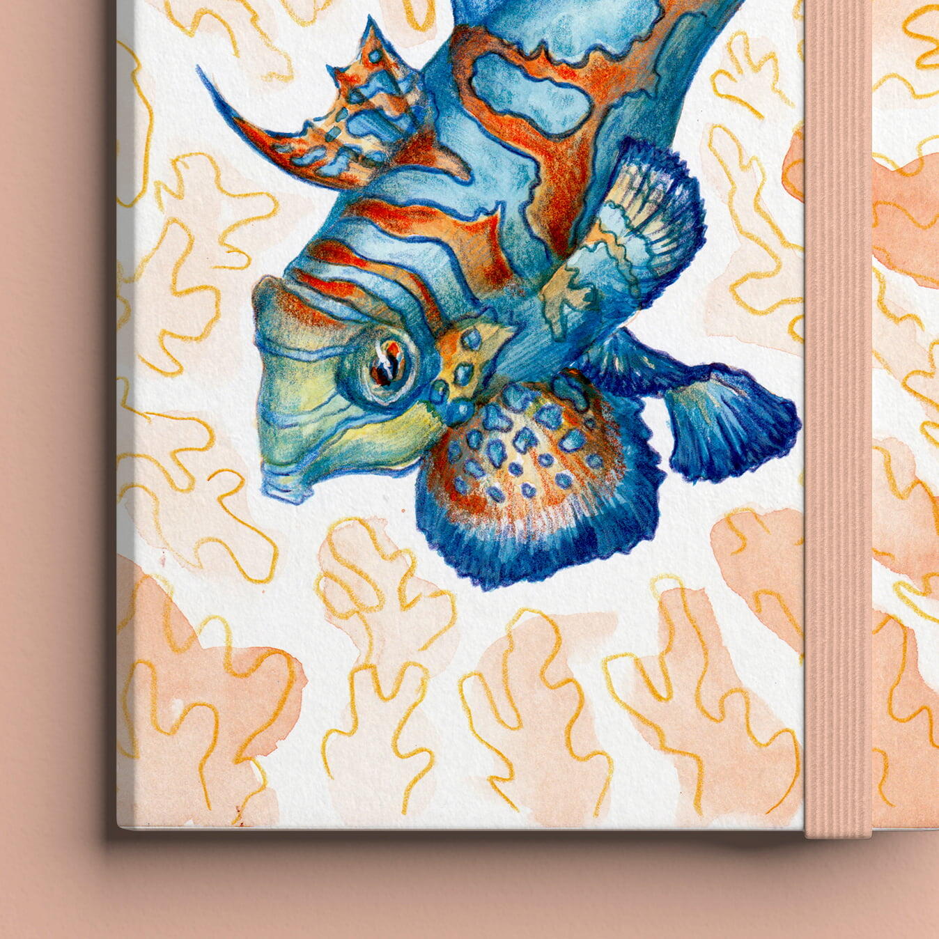 Mandarin Fish Drawing